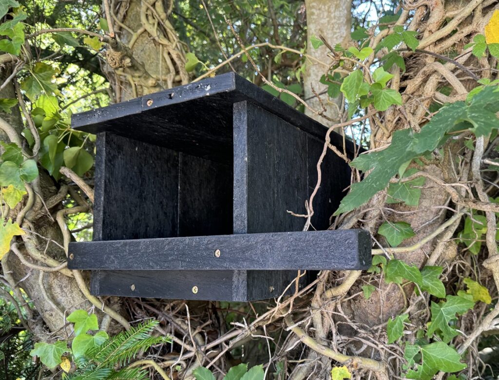 Recycled Plastic Bird Nest Boxes | Plastecowood
