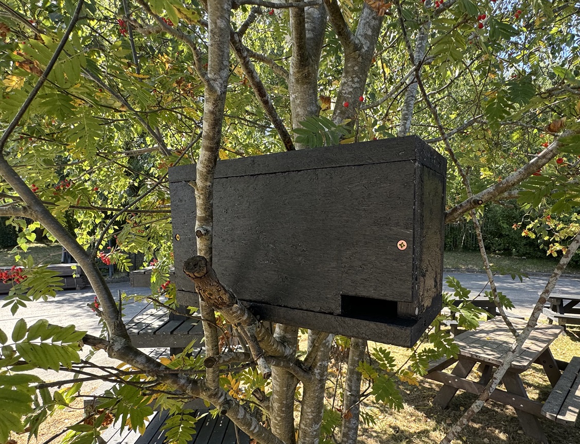 Recycled Plastic Bird Nest Boxes | Plastecowood