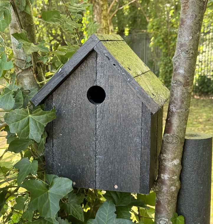 Recycled Plastic Bird Nest Boxes | Plastecowood