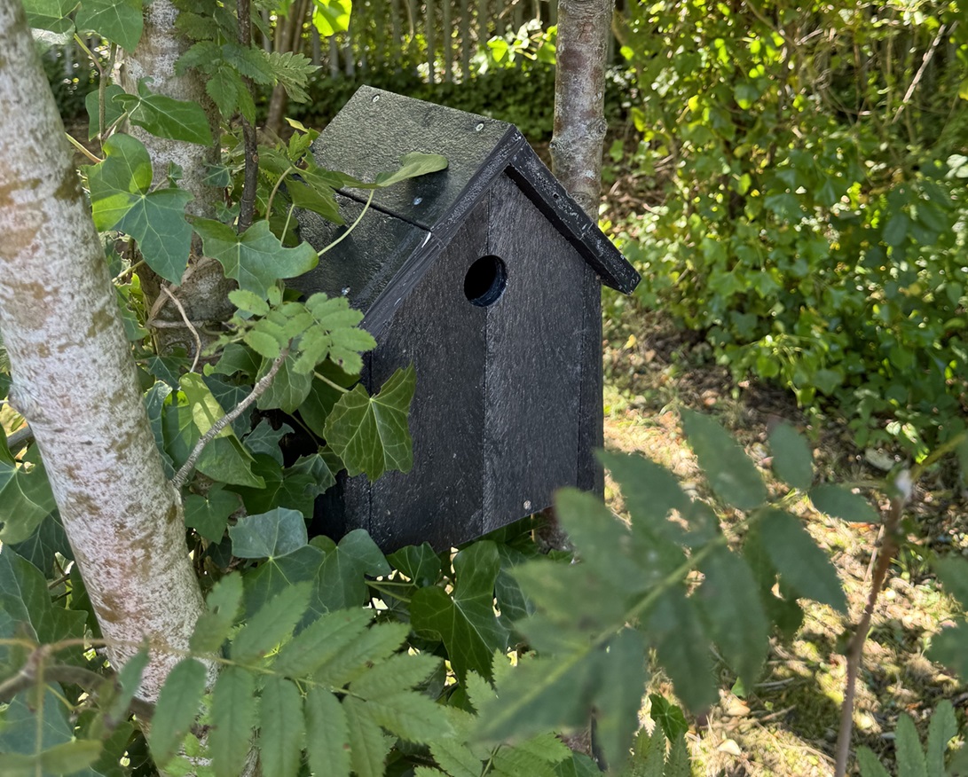 Recycled Plastic Bird Nest Boxes | Plastecowood