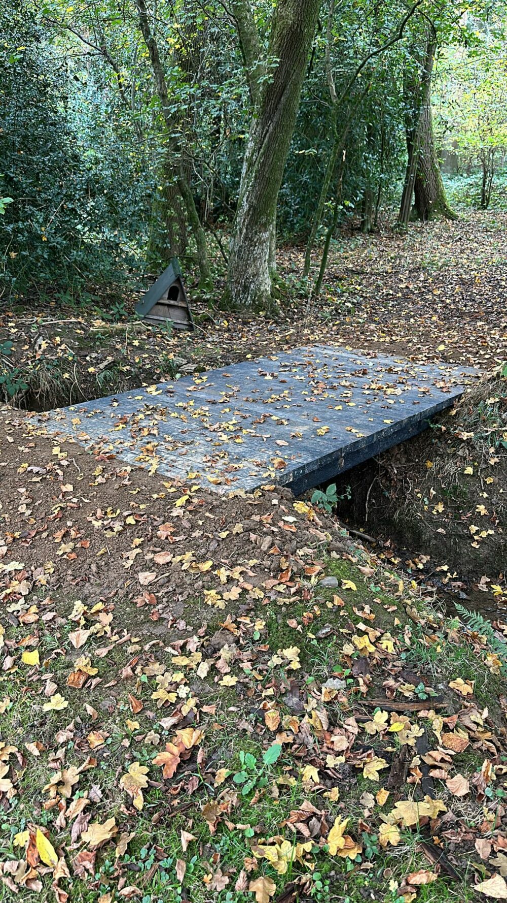 Recycled Plastic Steps & Walkways | Plastecowood